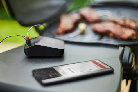 Welcome to the Second Season of the BBQ - New Gizmo