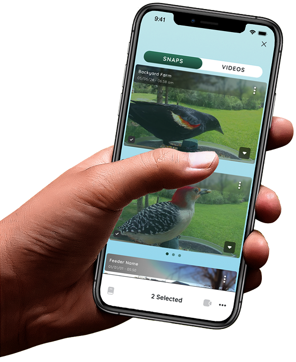 Meet the FeatherSnap Feeder: The Smartest Way to Bring Birds Closer #AI ...