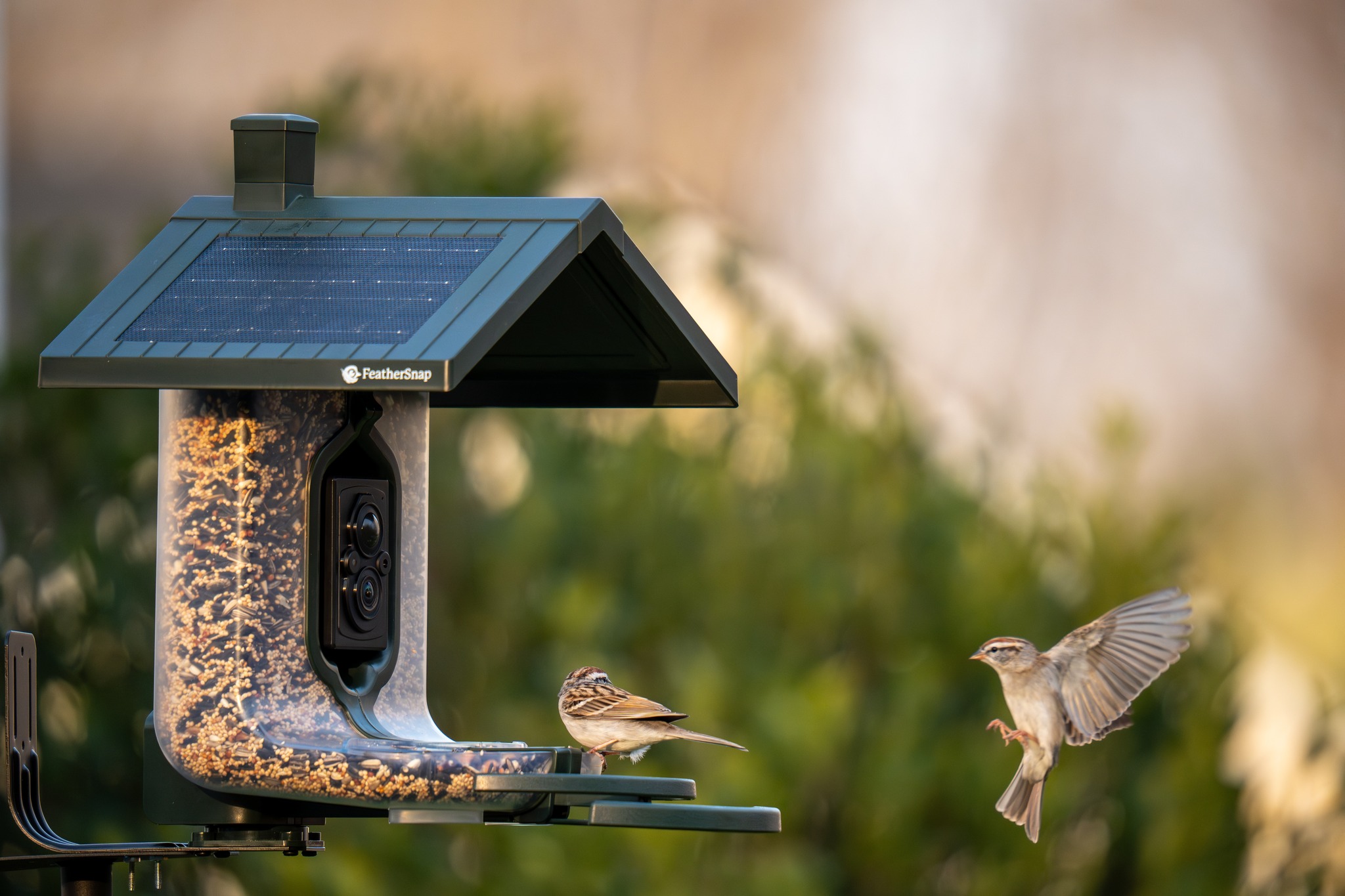 Meet the FeatherSnap Feeder: The Smartest Way to Bring Birds Closer #AI ...